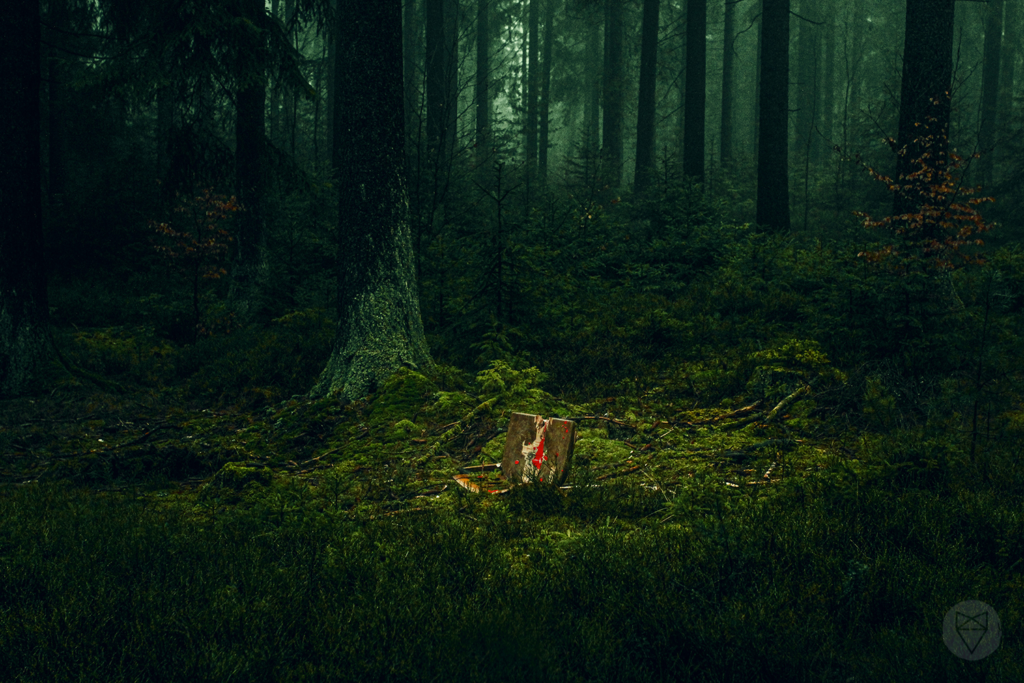 Fotografie – Elisa Fuchs